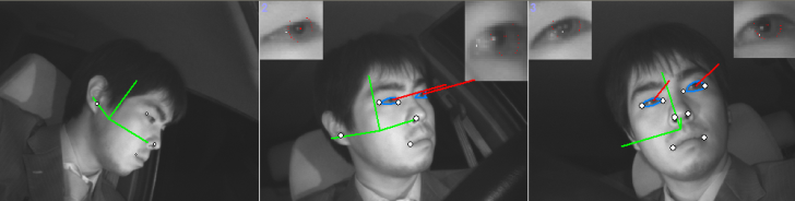 视线追踪测量系统 Smart Eye Pro System | TOYO CHINA